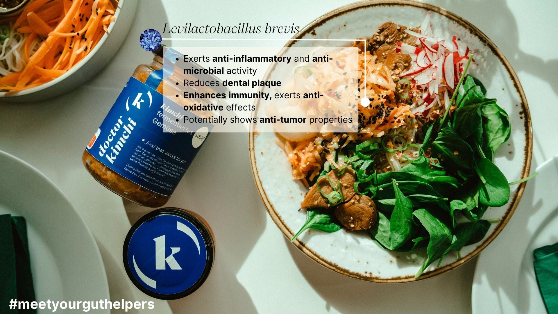 Doctor Kimchi | Microbiome Management